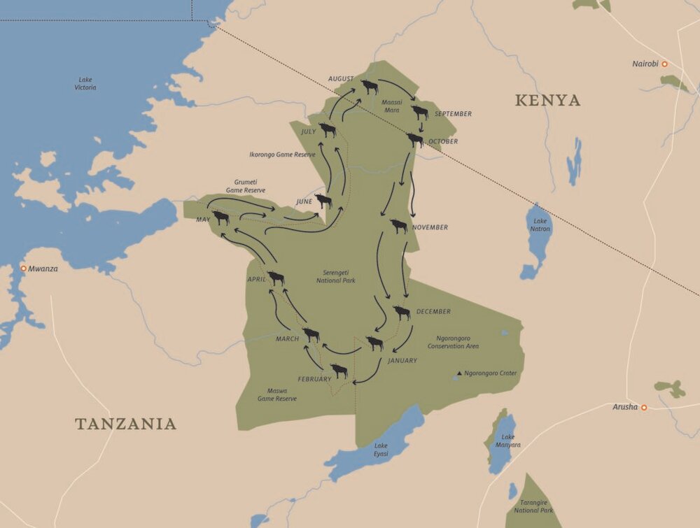 A Complete Guide To Africa’s Great Migration | Kuoni