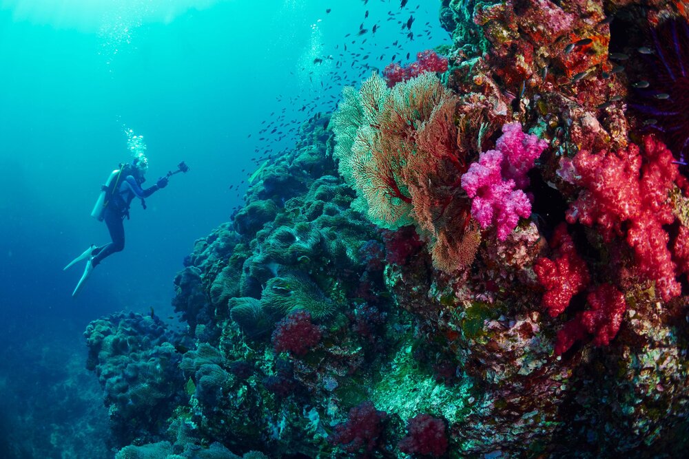 10 luxury destinations for diving and snorkelling | Kuoni