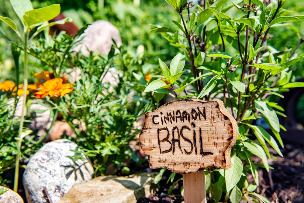 Postcards from Grenada | Kuoni Travel