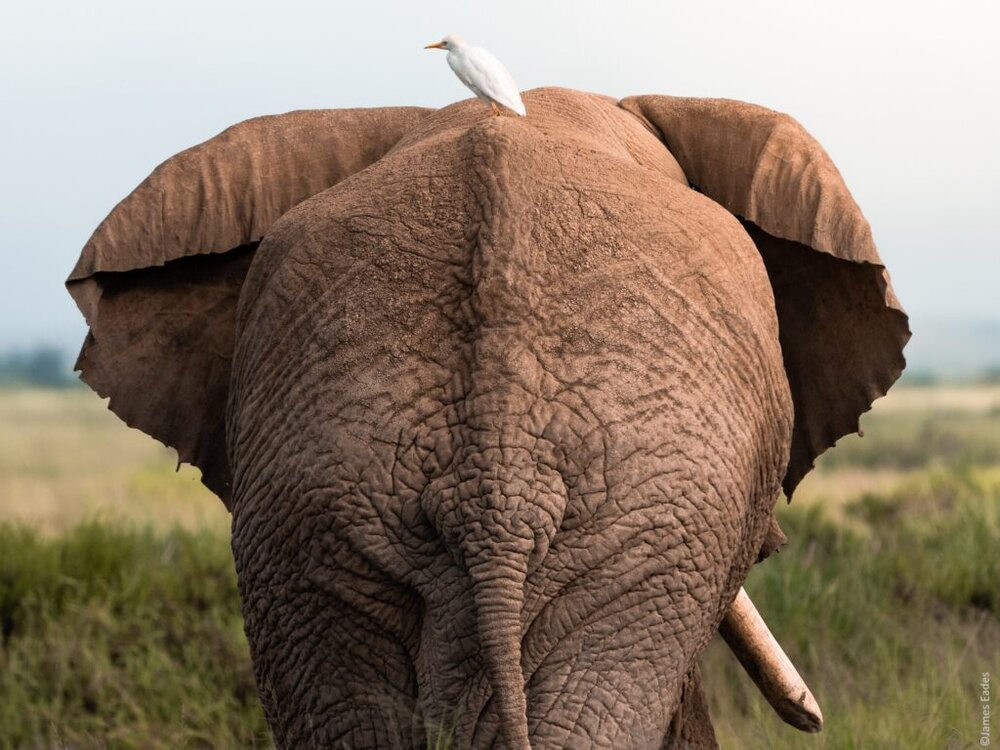 Interview Holly Budge Adventurer & Conservationist | Kuoni