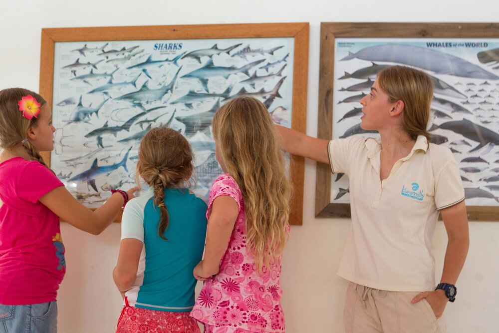 The ultimate guide to Indian Ocean family holidays | Travel Kuoni