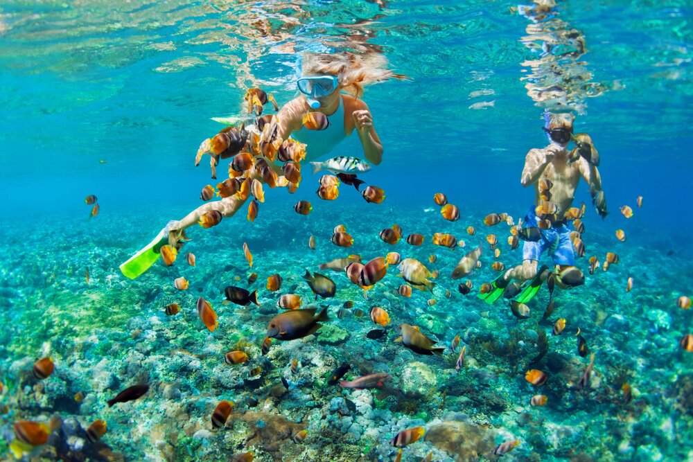 How to plan a group holiday for a memorable trip