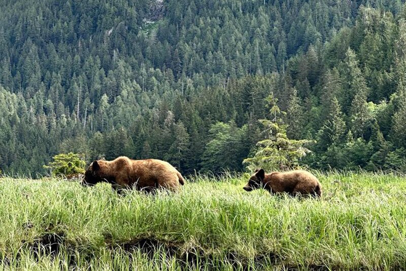 Our Favourite Travel Memories | Kuoni