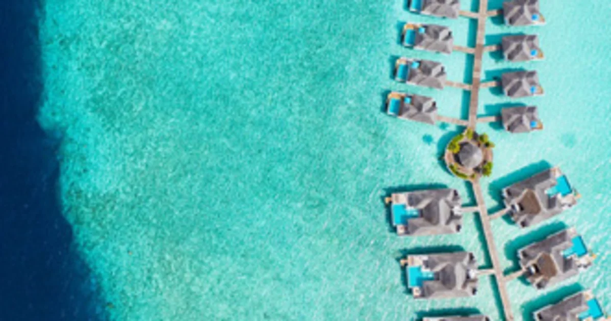 Where to see The Real Jungle Book