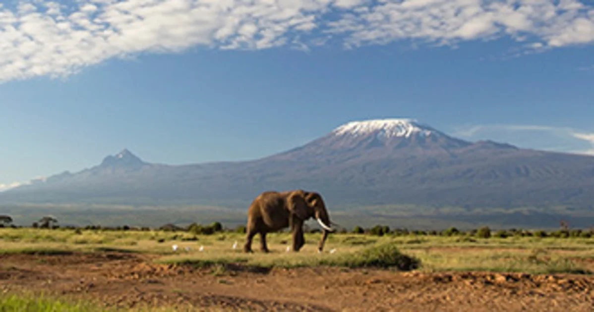 Why Visit Kenya Our Guide To Wildlife Culture And Beach | Kuoni