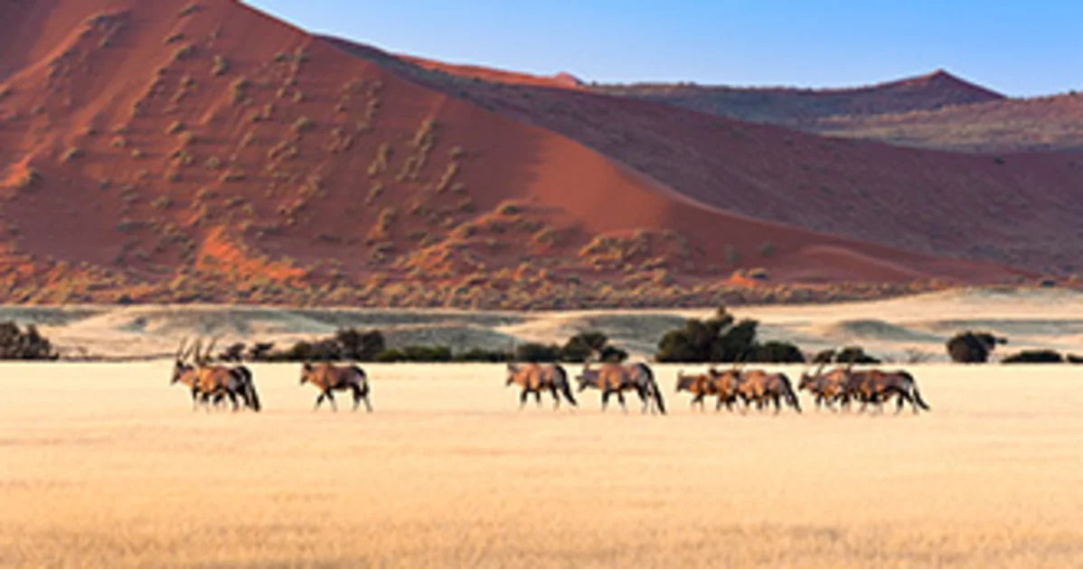 The Ultimate Guide To Touring Namibia | Kuoni