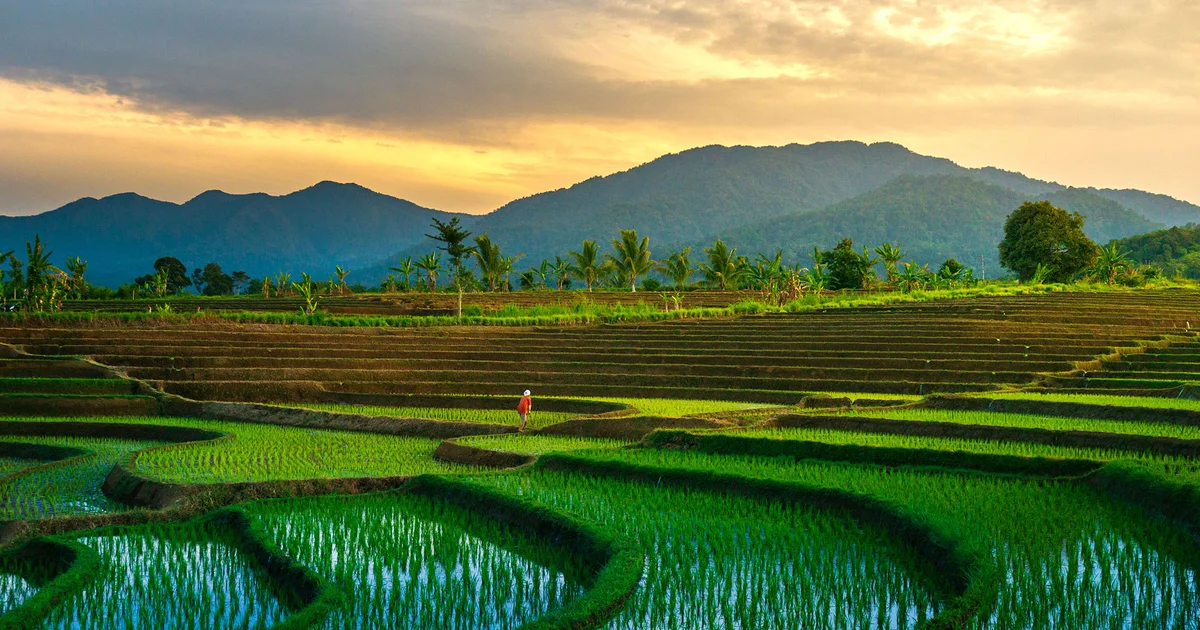 Where to Travel and When Best to Visit | Kuoni