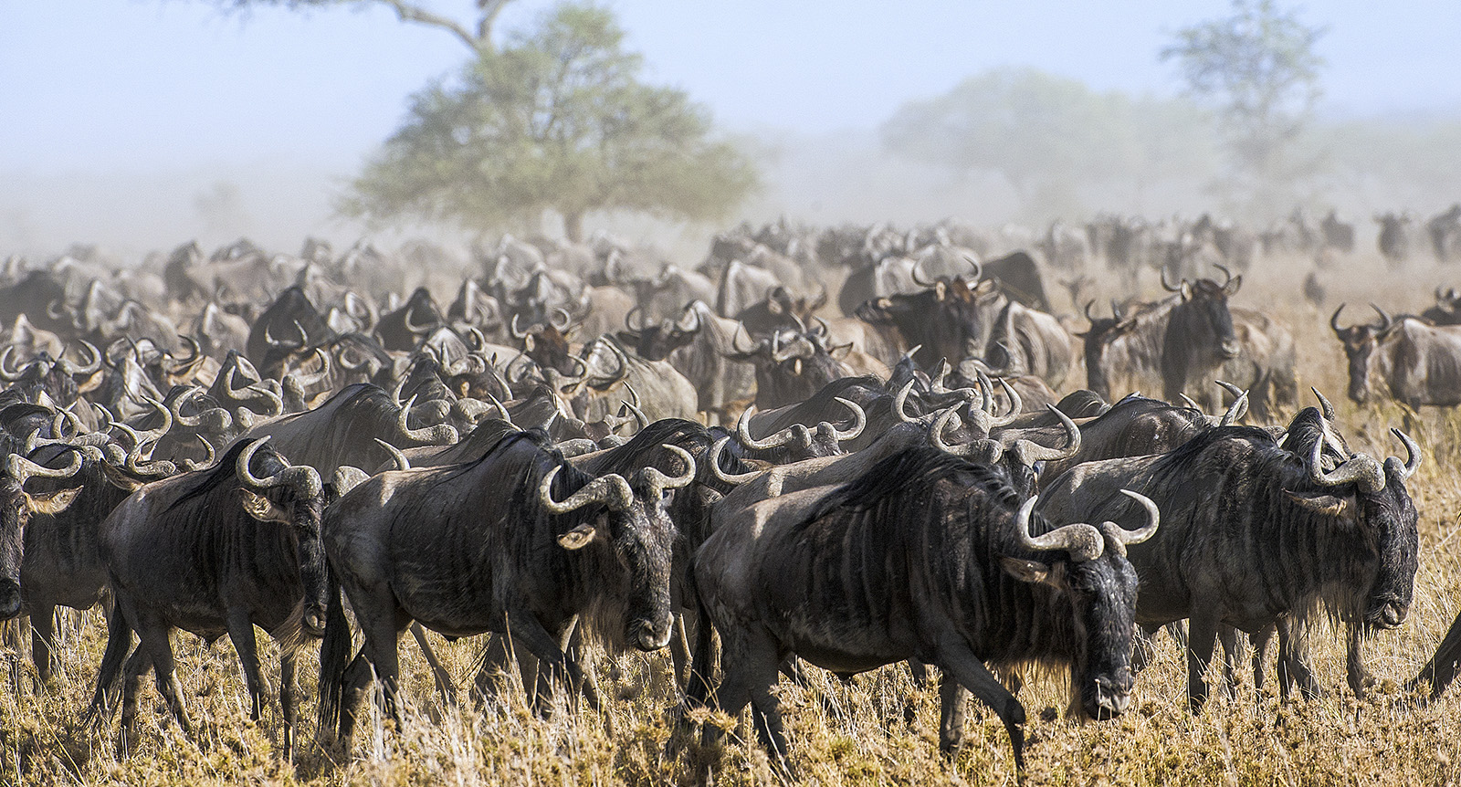 Top 10 Unmissable Festivals And Events Around The World | Kuoni